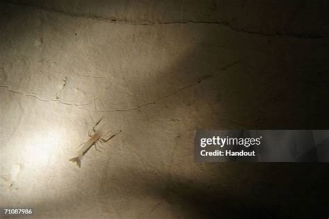 Jerusalem Cave Photos And Premium High Res Pictures Getty Images