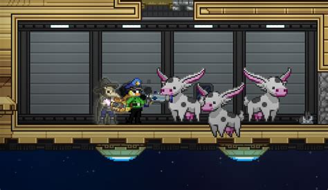 How To Get The Mooshi Out Of The Ships Floor R Starbound