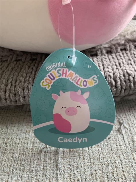 8” Caedyn Squishmallow R Squishmallow