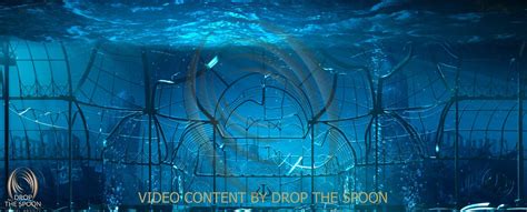 Holiday On Ice Atlantis Drop The Spoon