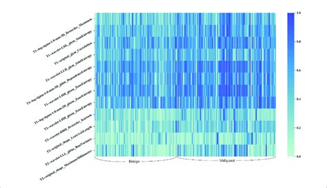 Heat Map Of The Selected Radiomic Features For T1 C And T2 Schemes