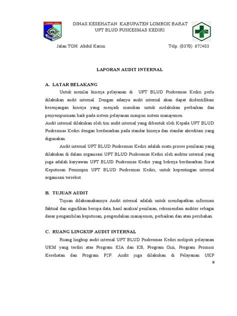 Laporan Audit Internal Pdf Bisnis