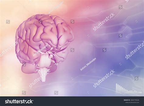 Human Brain Intelligence Work Concept Highly Stock Illustration
