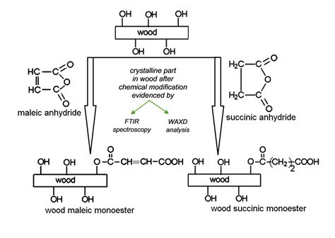 Crystalline Structure Of Cellulose In Wood After Chemical Modification Using Cyclic Acid