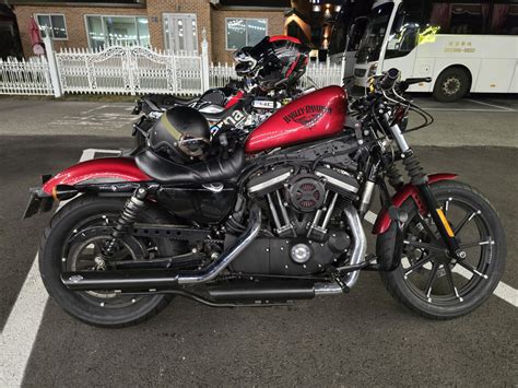 18년 할리데이비슨 아이언883 스포츠 레저 당근 중고거래