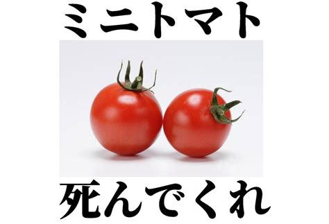 『生トマトは無理だがケチャップは大好き』などトマト嫌いの流儀をまとめた物がトマト嫌いの人々の心を掴む「わかりみの極み」 Togetter