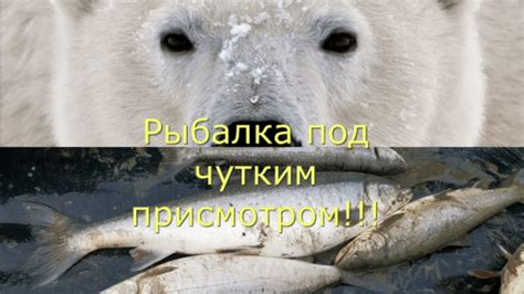 Самая опасная рыбалка в моей жизни!!! - YouTube
