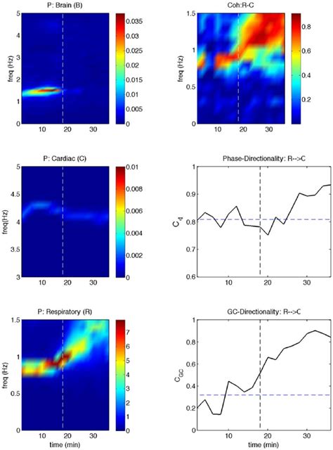 Directional Measures Computed From Sample Experimental Data Power Download Scientific Diagram