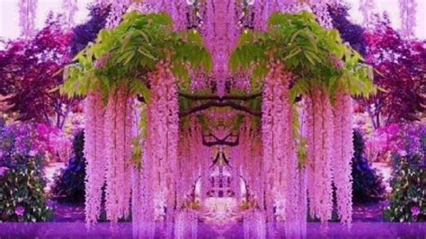 بروید ای حریفان غزل زیبا از مولانا جلالدین محمد بلخی Youtube