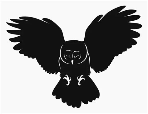 Boobook Owl Vector Art Stock Images Depositphotos