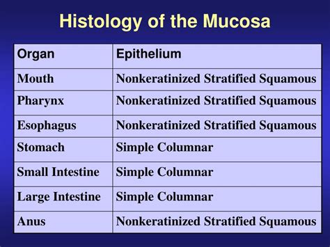 PPT Histology Of The Digestive System PowerPoint Presentation Free