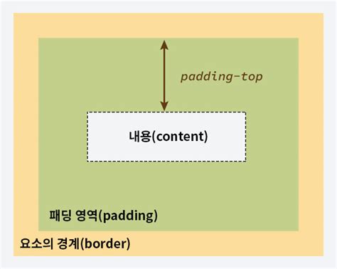 Css Padding Top 속성 요소 위쪽의 안쪽 여백 간격 지정 코딩에브리바디