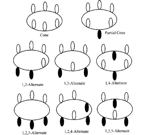 Conformations Of Calix 6 Arene Cone A Partial Cone 12 13