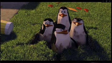Madagascar Best Penguins Of Madagascar Scenes Funny Action Moments