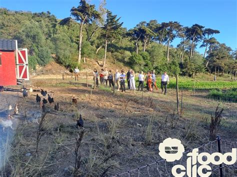 Baiba Prūse Posted On Linkedin