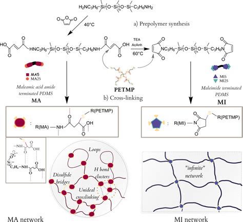 Synthesis Of Prepolymer Species And Their Cross Linking Via