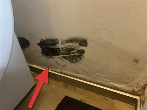 Mold Remediation Isg Environmental Services