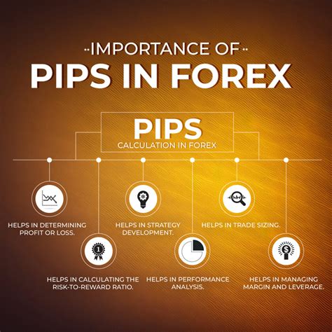 Forex Pips Calculation Learn To Measure Your Profits And Losses