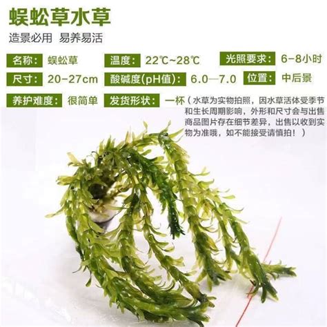 📚数据结构实验指导与课程设计：清华大牛力荐，编程路上的灯塔🌟 信息系统新 淘宝百科网