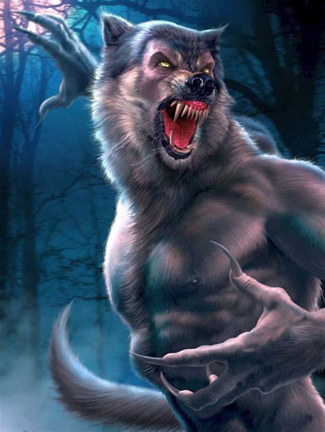 Download A Howling Werewolf Wallpapers Com