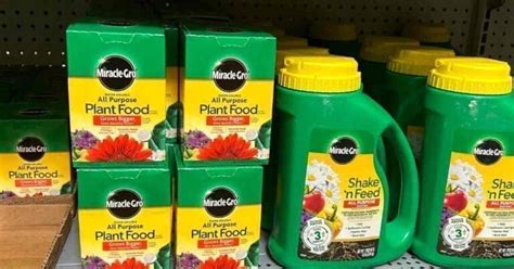 Plant Food Vs Fertilizer Whats On The Menu