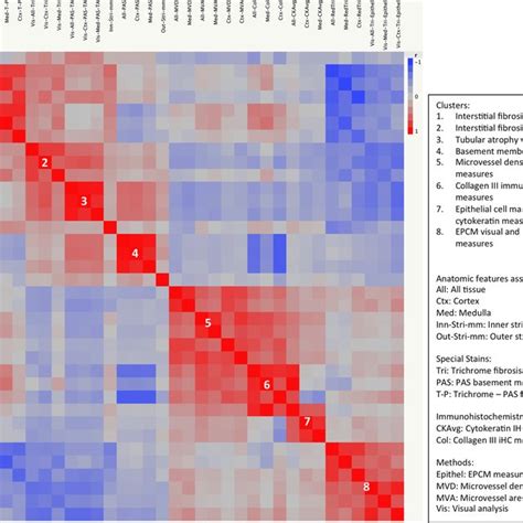 A Color Map Of Correlations Between Measured Variables Is Download