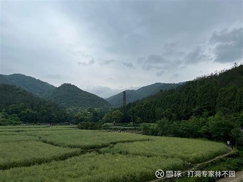 闲游国清寺 最近诸事不顺特别是重仓的 晋控煤业 的巨亏搞得我寝食难安心绪难平实在是太累了于是趁这个假日找大师指点迷津 雪球