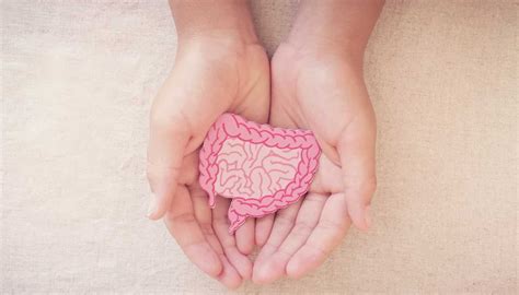 Bile Reflux Symptoms Causes And Effective Treatment Options