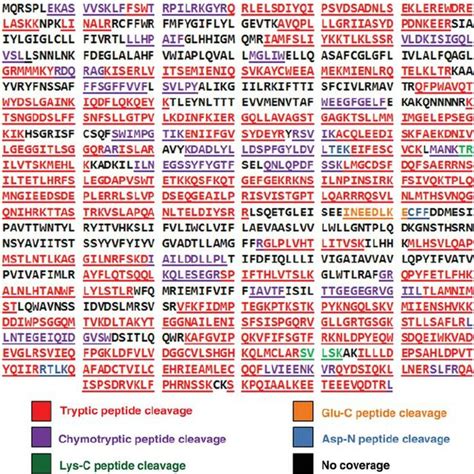 Cftr Coverage Using Proteolytic Hydrolysis Purified Full Length Cftr
