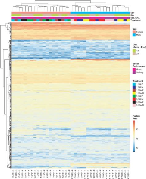 Hierarchical Clustering Heatmap Showing The Relative Protein Abundance