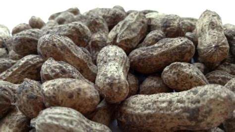 Difference Between Peanut And Groundnut Alldifferences