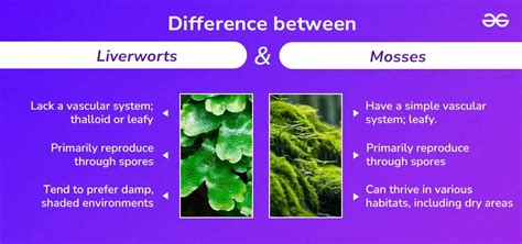 Difference Between Liverworts And Mosses GeeksforGeeks
