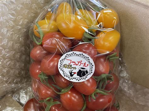 食味を極限まで追求した！赤：橙フラガールトマト 2kg（500g×4袋）【トマト食べ比べ】：埼玉県産のフラガール｜食べチョク｜産地直送産直お取り寄せ通販 農家・漁師から旬の食材を直送