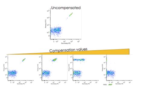 How To Compensate A 4 Color Flow Cytometry Experiment Correctly