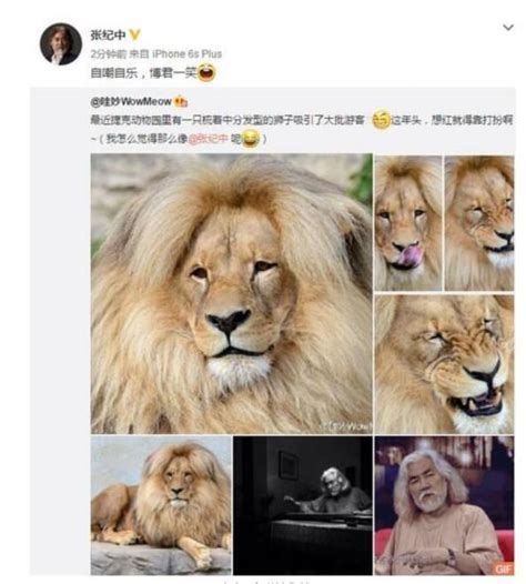 未受離婚事影響？張紀中發文：自嘲自樂 博君一笑 每日頭條