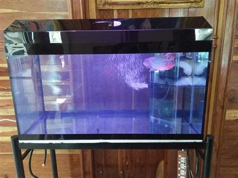 นางรองปลาสวยงาม ตู้ปลา36นิ้ว 🚗มีบริการจัดส่ง Facebook