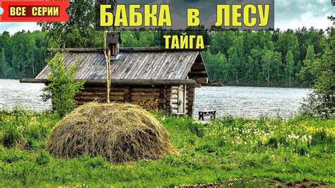 БАБКА в ТАЙГЕ ВСЕ СЕРИИ СЕРИАЛ МЕДВЕДЬ НЕОЖИДАННАЯ ВСТРЕЧА СУДЬБА ЖИЗНЬ в ЛЕСУ ИСТОРИИ из ЖИЗНИ