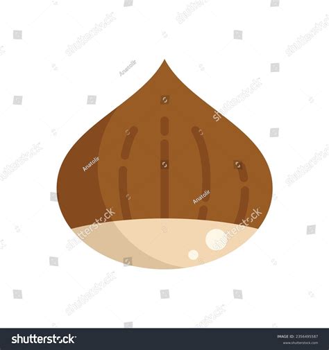 Chestnut Bur Over 190 Royalty Free Licensable Stock Illustrations