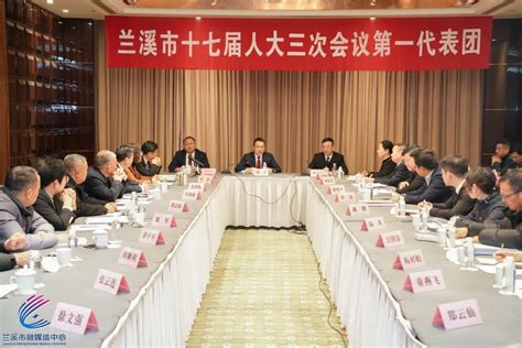 戴翀在参加人大代表团分团审议时强调：扛起使命担当 聚力实干争先澎湃号·政务澎湃新闻 The Paper
