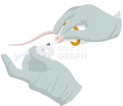 Free Intraplantar Injection Icons Symbols Pictures And Images Mind The Graph