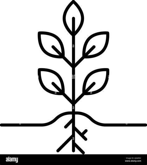 Plant Iconicon Simple Thin Line Outline Vector Of Biology Icons For Ui And Ux Website Or