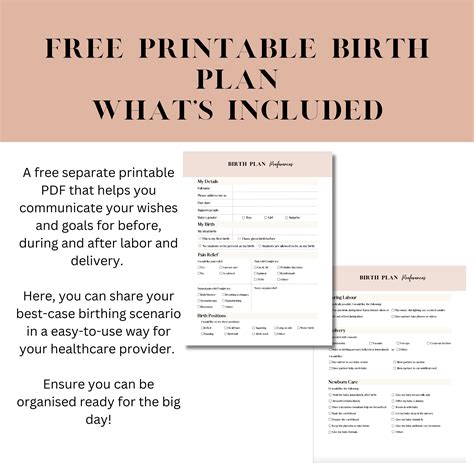 Pregnancy Checklists Bundle Printable Pregnancy Planner Pregnancy