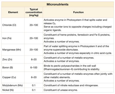 Soil Fertility Explained Soil Quality Knowledge Base