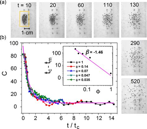 Color Online A A Sequence Of Snapshots To Illustrate The Download Scientific Diagram
