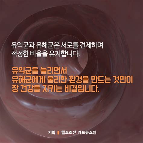 카드뉴스 면역력 좌우하는 ‘세균맨 유익균 당신의 건강가이드 헬스조선