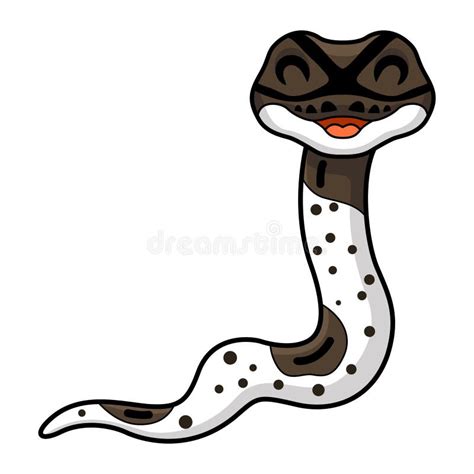 Cute Oreo Pied Ball Python Cartoon Stock Vector Illustration Of
