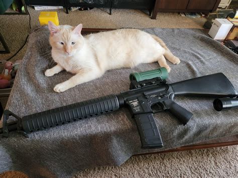 Help With C79 Optic R Airsoft