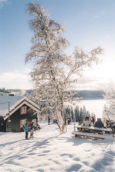 Ski Vm Vinter Visit Trondheim