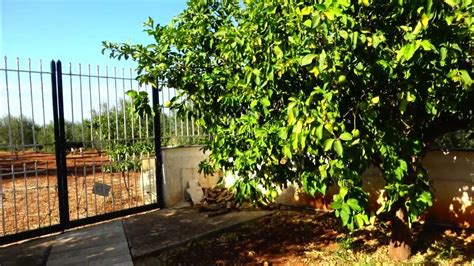 Garden Krines 19 Youtube