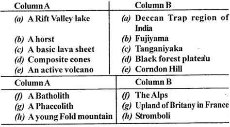 ICSE Solutions For Class 9 Geography Volcanoes A Plus Topper